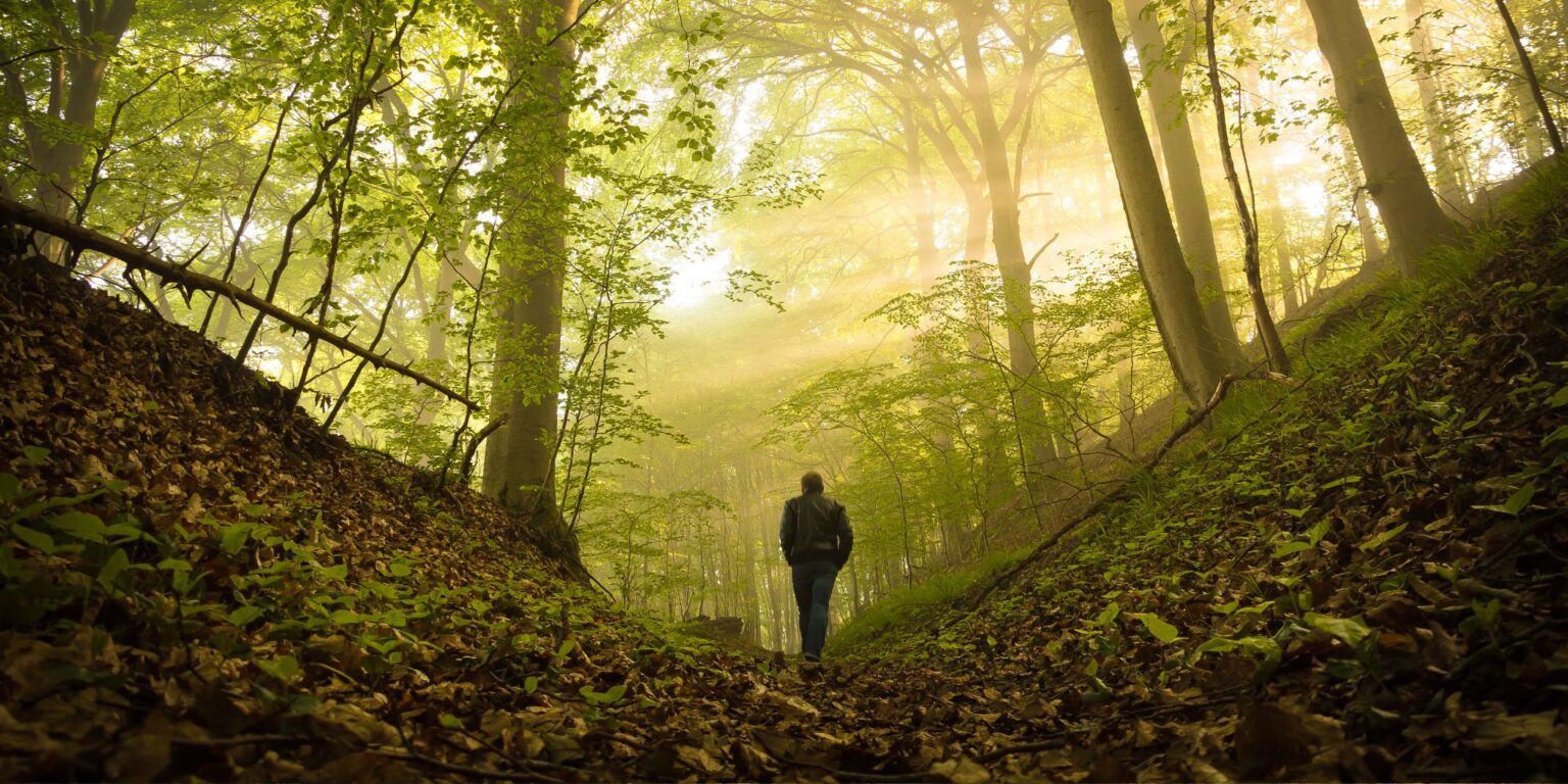 How to write flash fiction about climate change - Writers' HQ